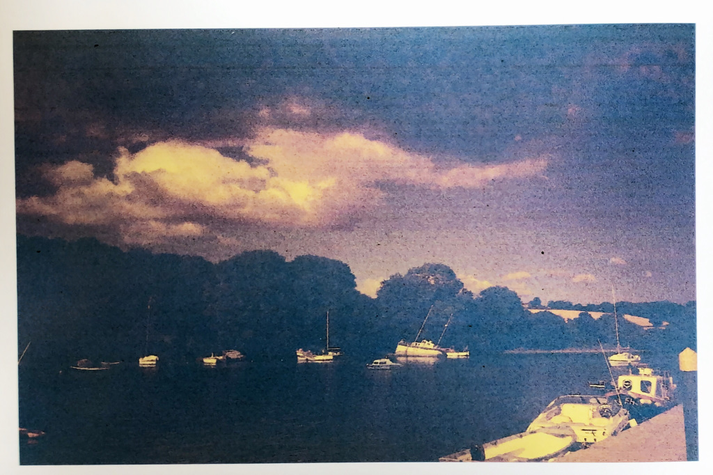 Lemon Drop - Litro Magazine USA