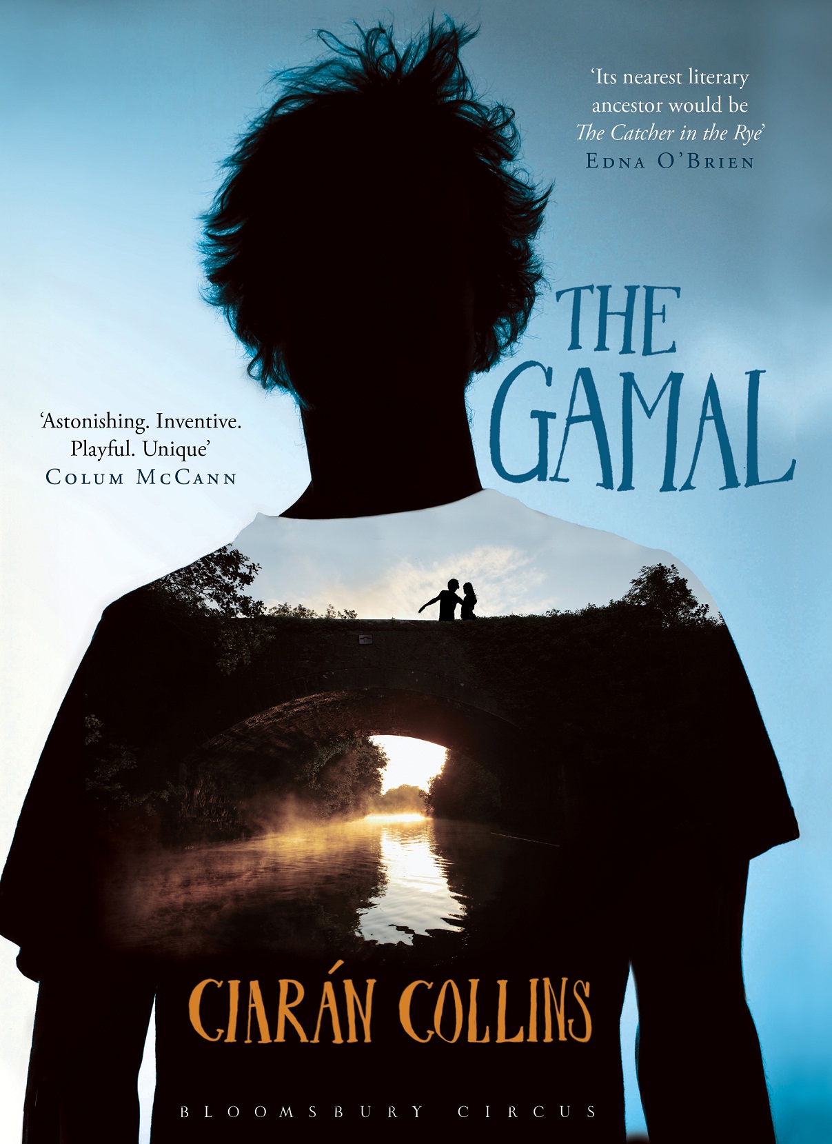 Book Review: The Gamal by Ciaran Collins - Litro Magazine