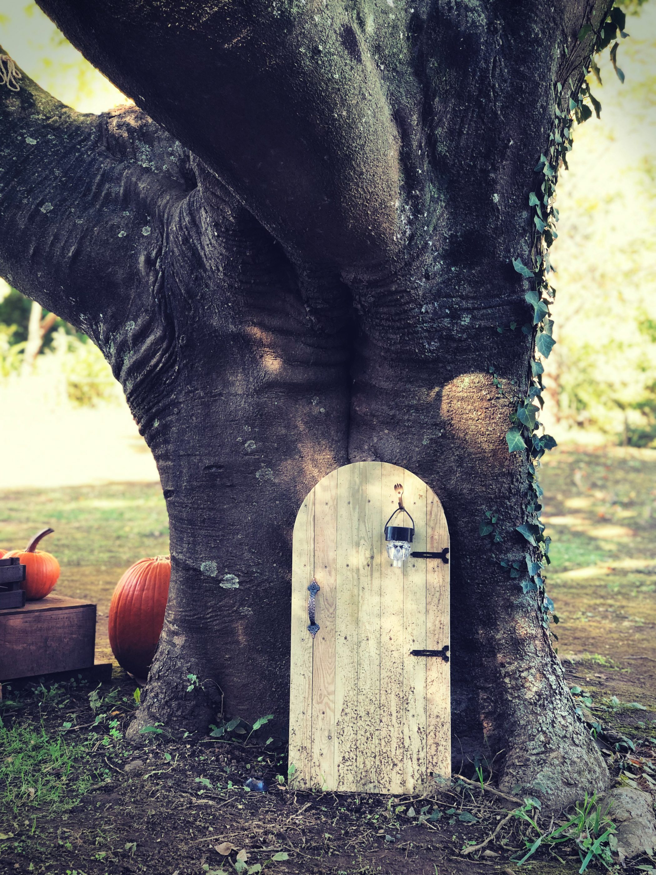Litro #182: Experimental – Storytelling: The Global Rabbit Hole | Litro ...